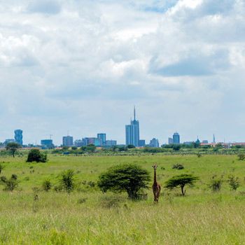 Tours in Nairobi [Adventure & Nature]
