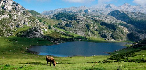 The Best Tours in Spain Majorca + mainland Spain