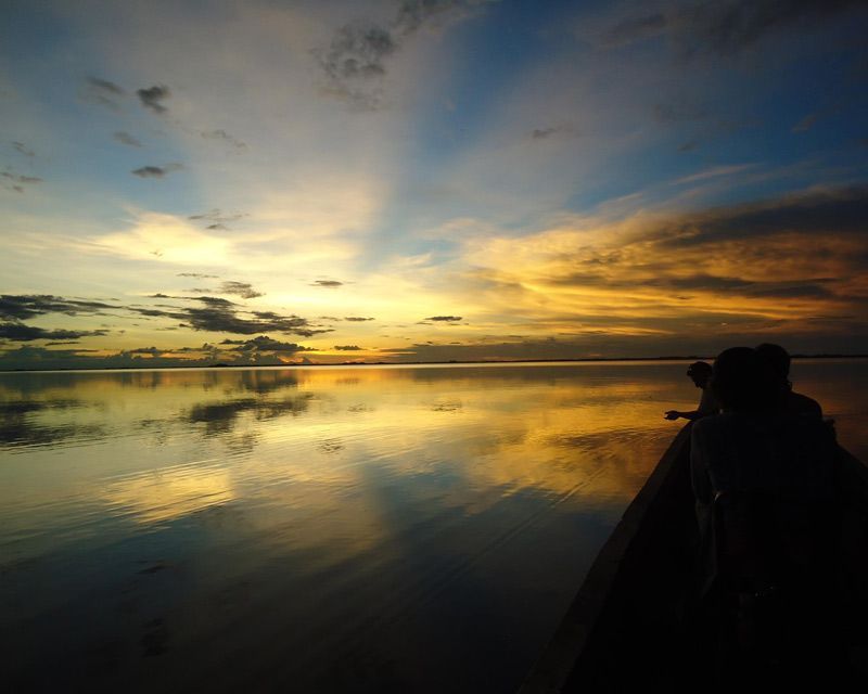 Tour Madidi 3 Días ≫ Desde Rurrenabaque Bolivia | Howlanders