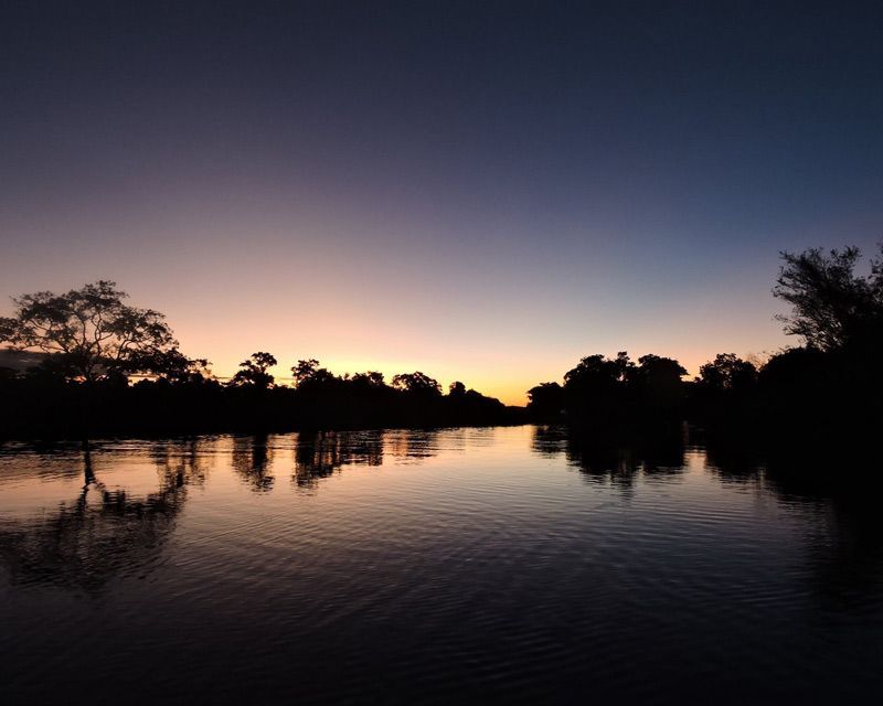 Tour Madidi 3 Días ≫ Desde Rurrenabaque Bolivia | Howlanders