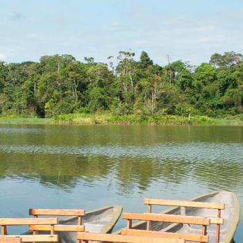 Cuyabeno Amazon Tours desde Lago Agrio | Reserva Cuyabeno