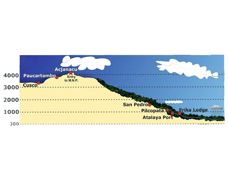 Tour Parque Nacional del Manu 3 días desde Cuzco | Howlanders