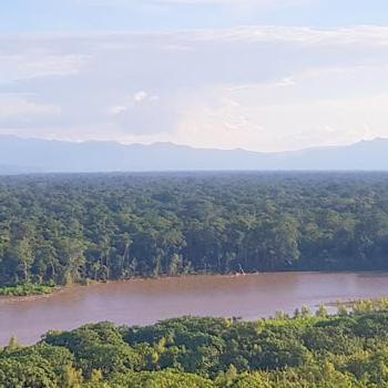 Excursions jungle Bolivia - Rurrenabaque ≫ Madidi et Pampas